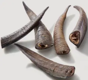 Dehorning Goat’s Horns: How to Remove Them Safely - Farming Guide for ...