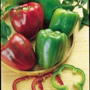 Different Types & Varieties of Bell Peppers (With Names and Pictures ...