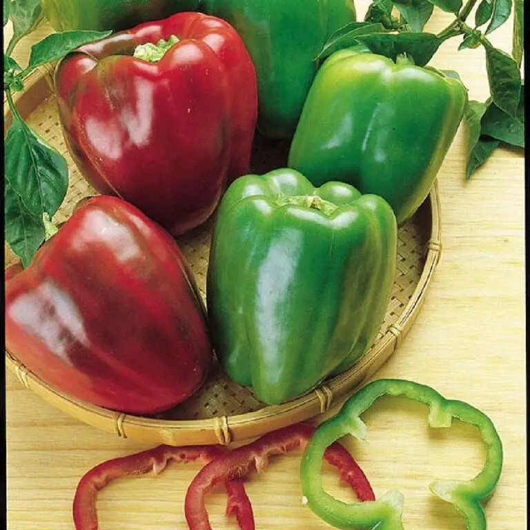 Different Types & Varieties of Bell Peppers (With Names and Pictures ...