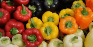Different Types & Varieties of Bell Peppers (With Names and Pictures ...