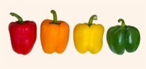 Why Are Bell Peppers Different Colors? (Do They Taste Different ...