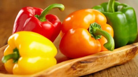Bell Peppers Male and Female — What’s the Difference? - Beginner's ...
