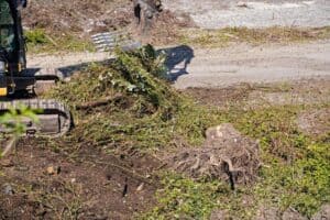 What Is Clearing and Grubbing in Construction? A Comprehensive Guide ...