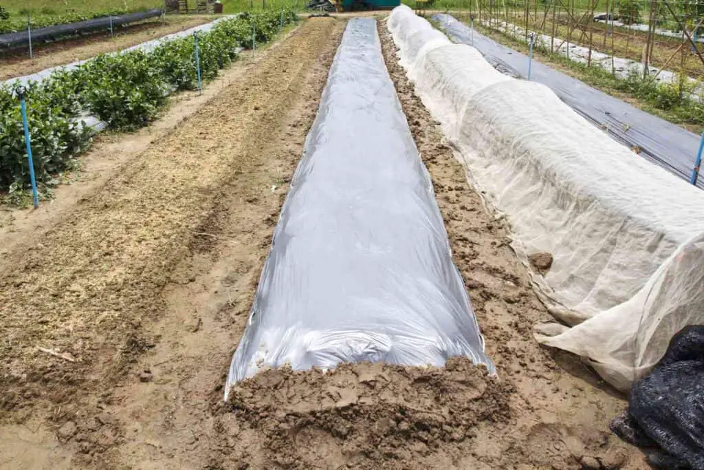 What is Hardpan Soil? Gardening Success in Hardpan Soil - FarmingThing.com