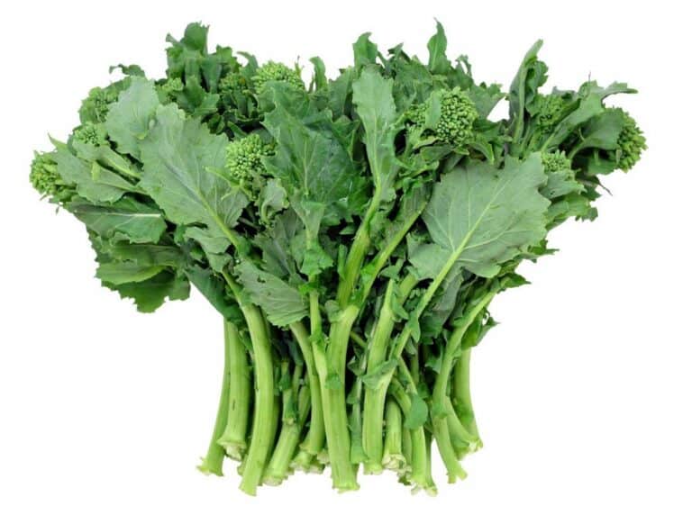 What Parts Of The Broccoli Plant Are Edible? From Florets to Stalks ...