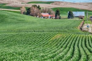 How Contour Farming Reduces Soil from Erosion (Contours of ...