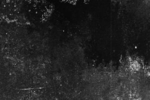 How to Add Humus to Soil: Easy Soil Rich Amendments - FarmingThing.com