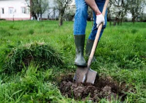 How to Permanently Get Rid of Grass: 5 Effective Methods - FarmingThing.com