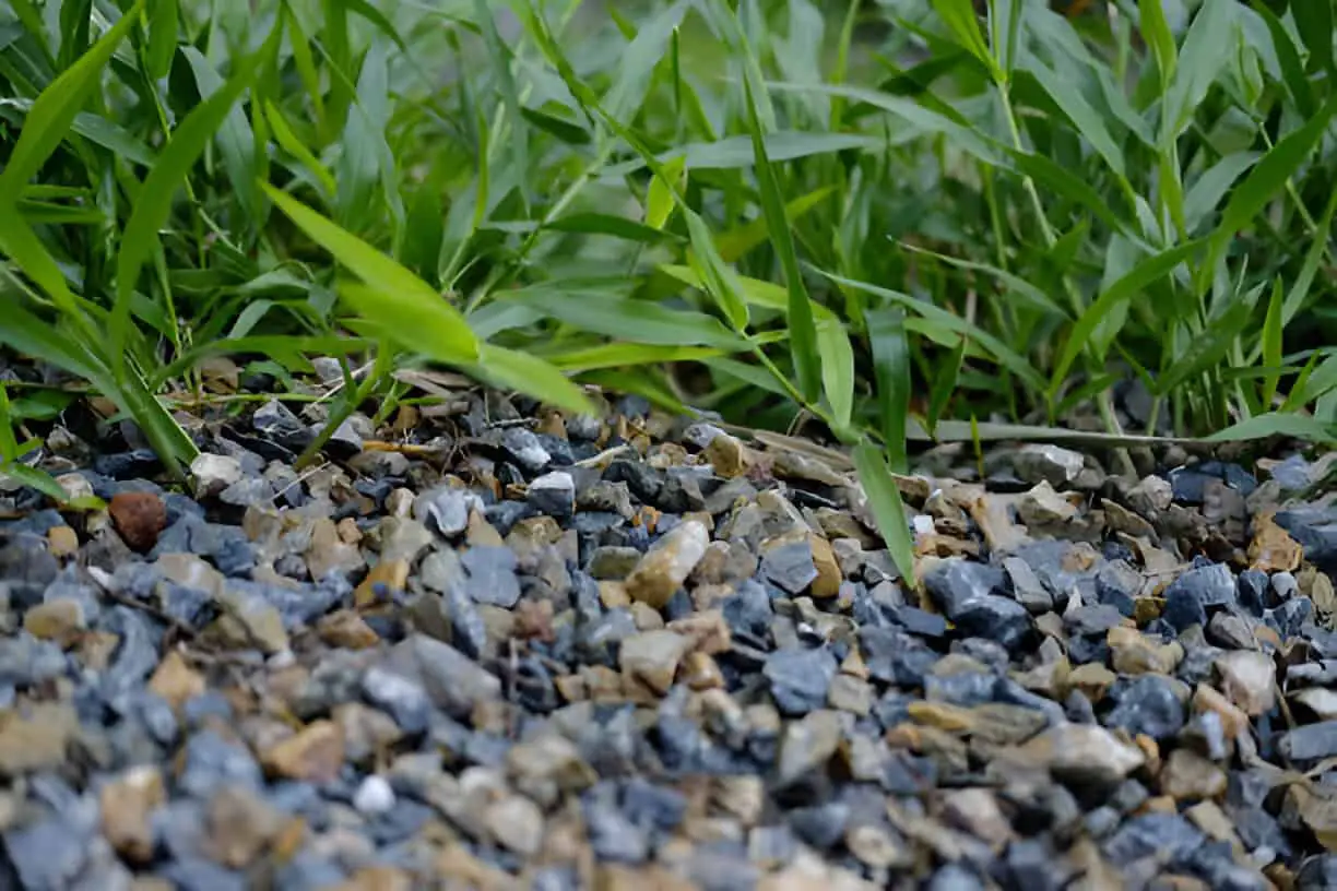 How to Prevent Grass From Growing in Gravel (Say Goodbye to Weeds ...