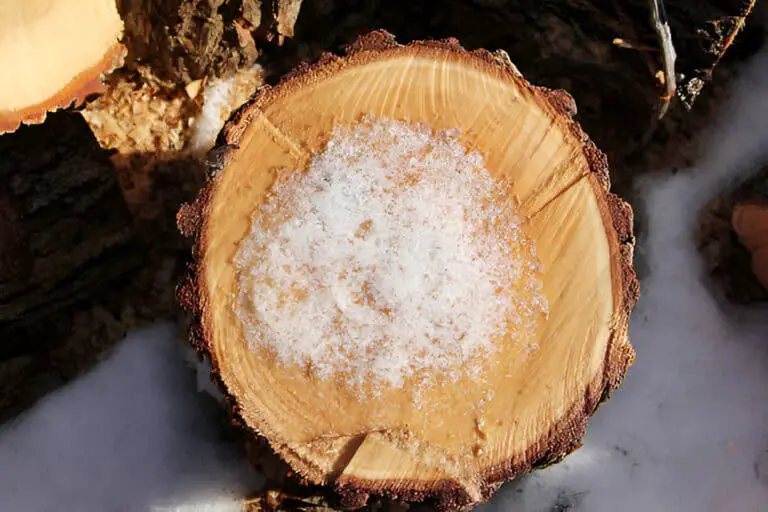 How to Remove a Tree Stump With Epsom Salt: Easy Instructions ...